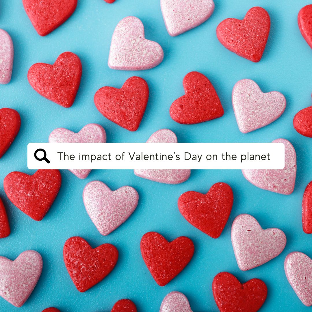 Tips for an environmentally friendly Valentine's Day – Bambuyu